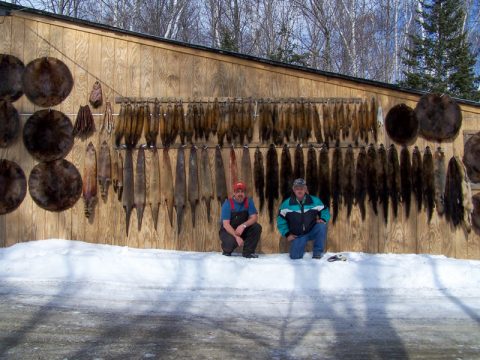 One Week Furbearer Trapping Course in Western Maine